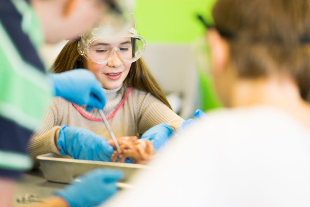CSC-11 - Catawba Science Center | Catawba Science Center | Changing ...