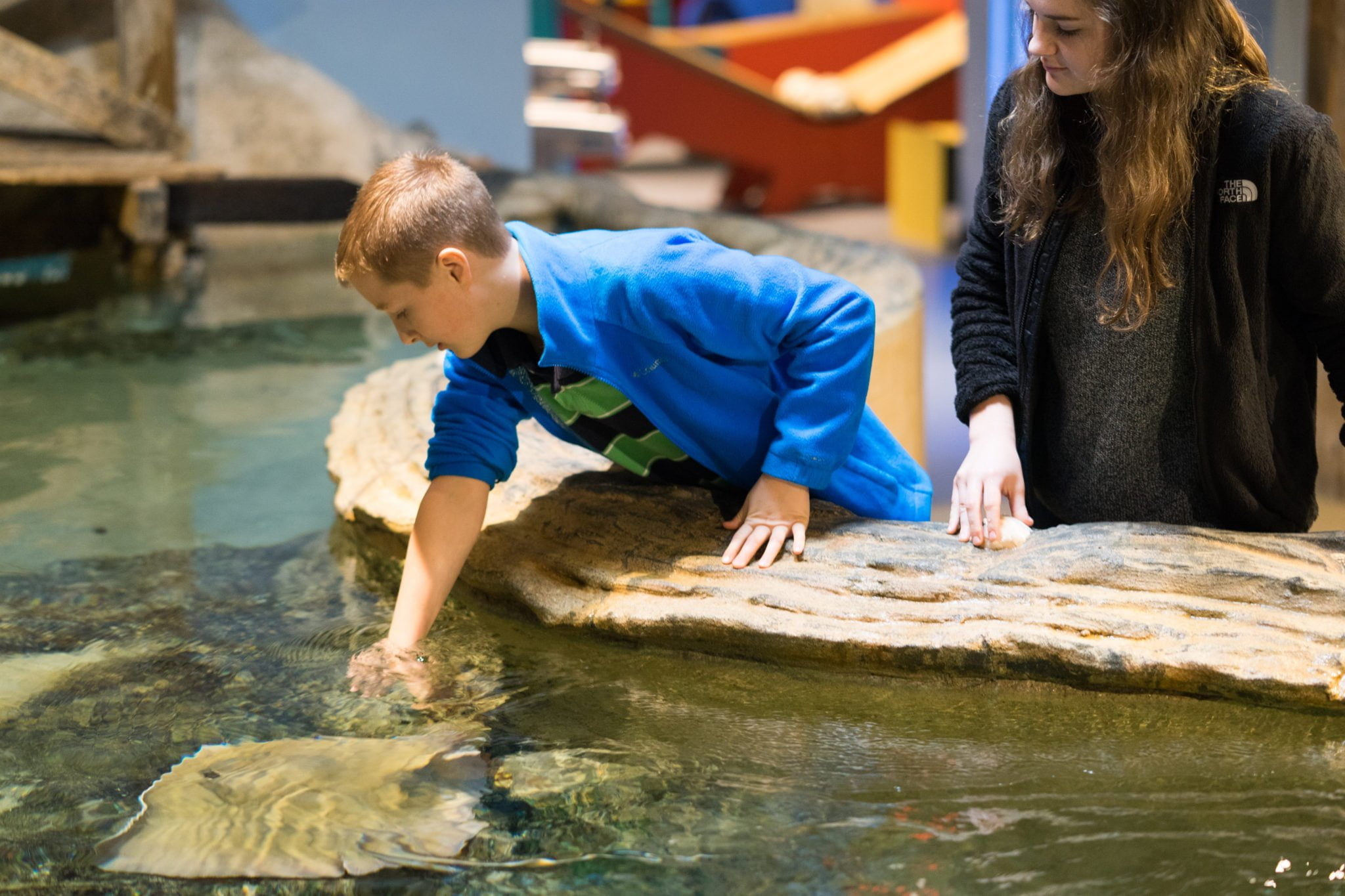 Attractions - Catawba Science Center | Catawba Science Center ...