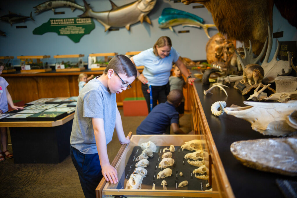 Attractions - Catawba Science Center | Catawba Science Center ...